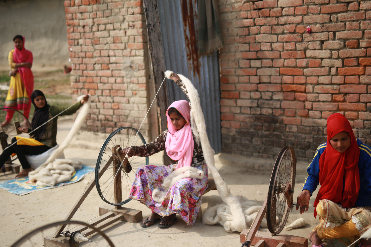 Explore the Largest Collection of Rugs – Page 7 – Knotty Rugs